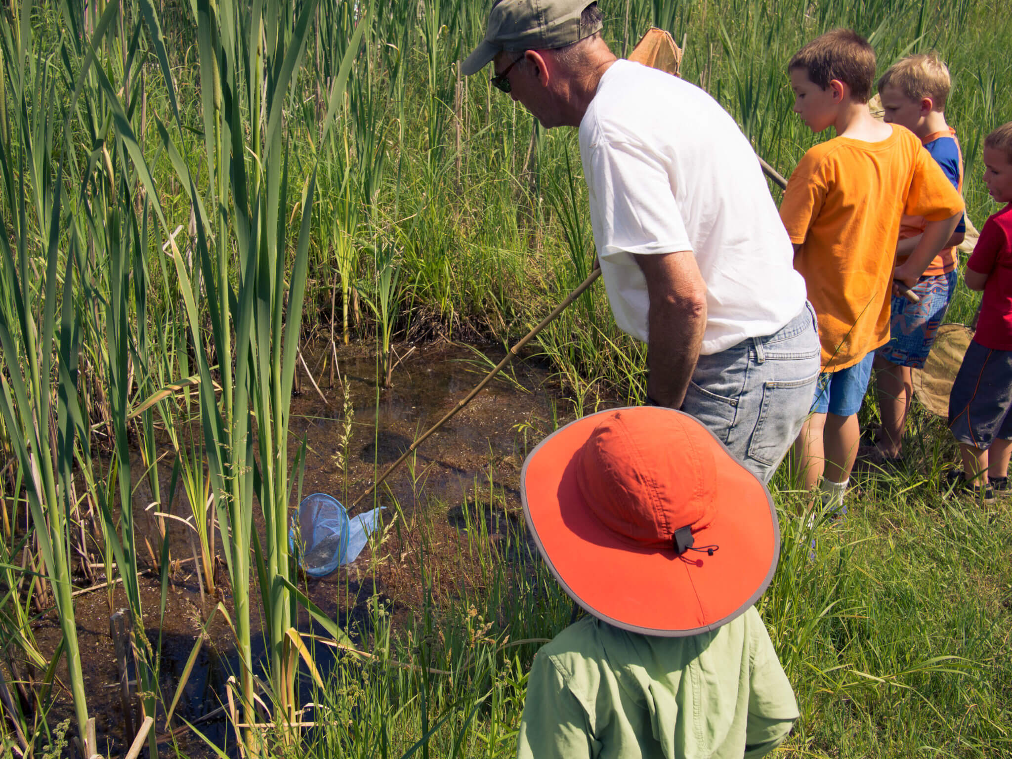 Catching frogs - Tyler Place Family Resort